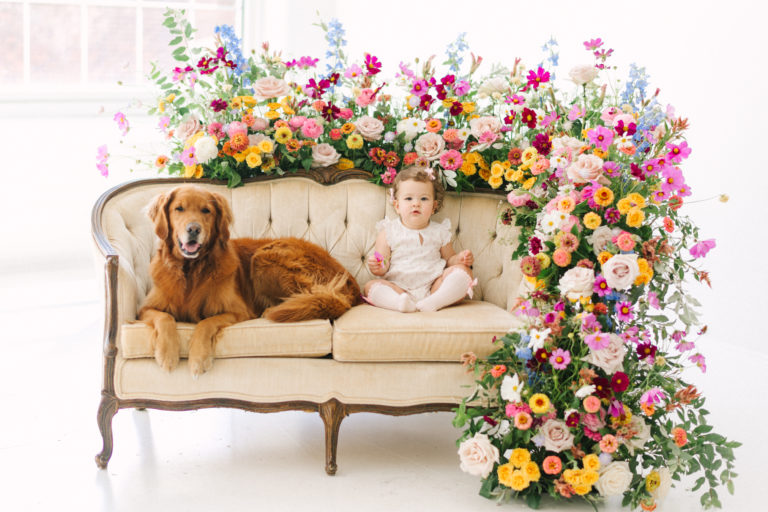 Summer Flower Minis {Hudson Valley Family Photographer} | Alicia King ...